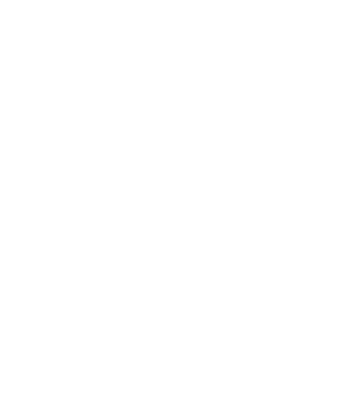 Toreon - Business driven cyber consulting